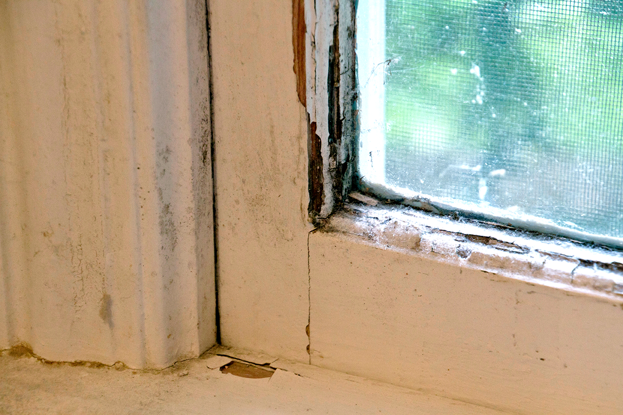 LEAD LESSONS – St. Louis County